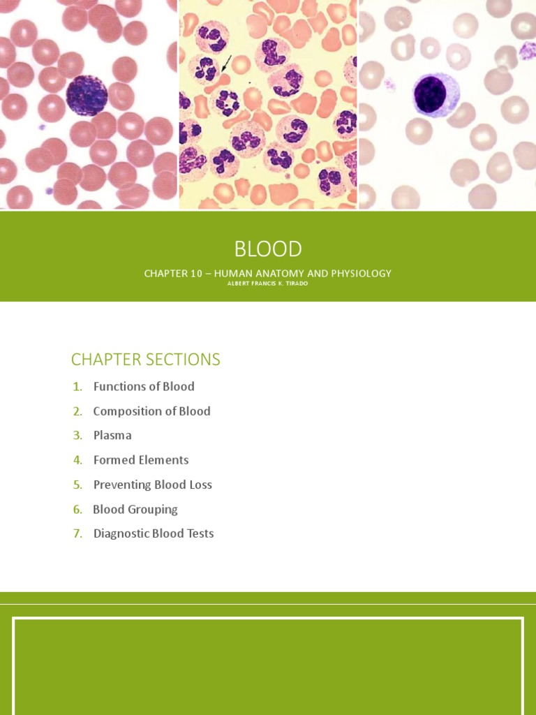 Chapter 10: Blood Anatomy Overview | PDF | Blood Type | White Blood Cell