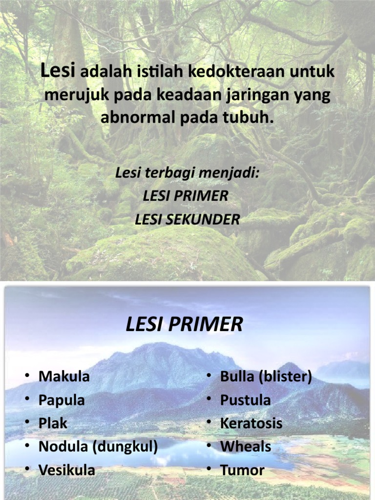 Lesi Adalah Istilah Kedokteraan Untuk Merujuk Pada Keadaan | PDF | Fiksi Umum
