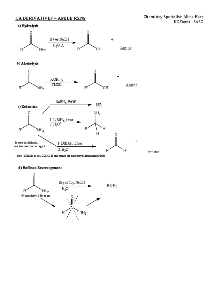 Amide Rxns | PDF | Unit Processes | Carbon Compounds