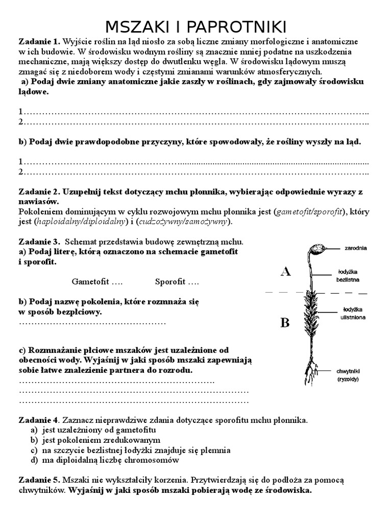 Zadania Mszaki I Paprotniki | PDF