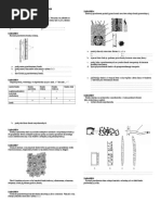 Fizjologia Roslin Test 1 | PDF