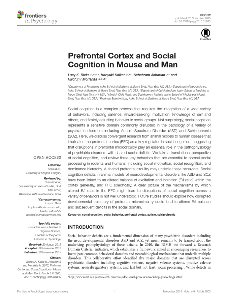 Prefrontal Cortex and Social Cognition in Mouse and Man | PDF ...