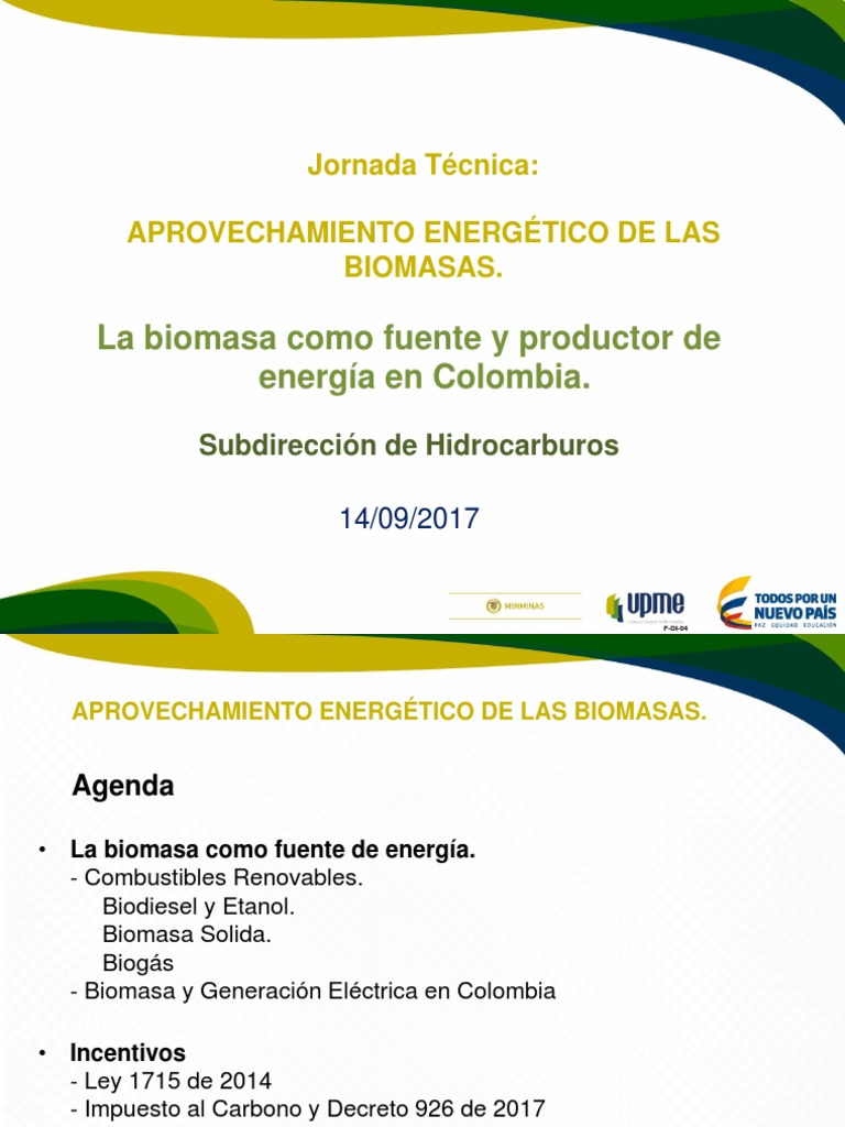Biomasa Fuente de Energía UPME | PDF | Biomasa | Biocombustible