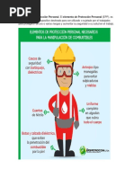 EPP Mapa Mental | PDF