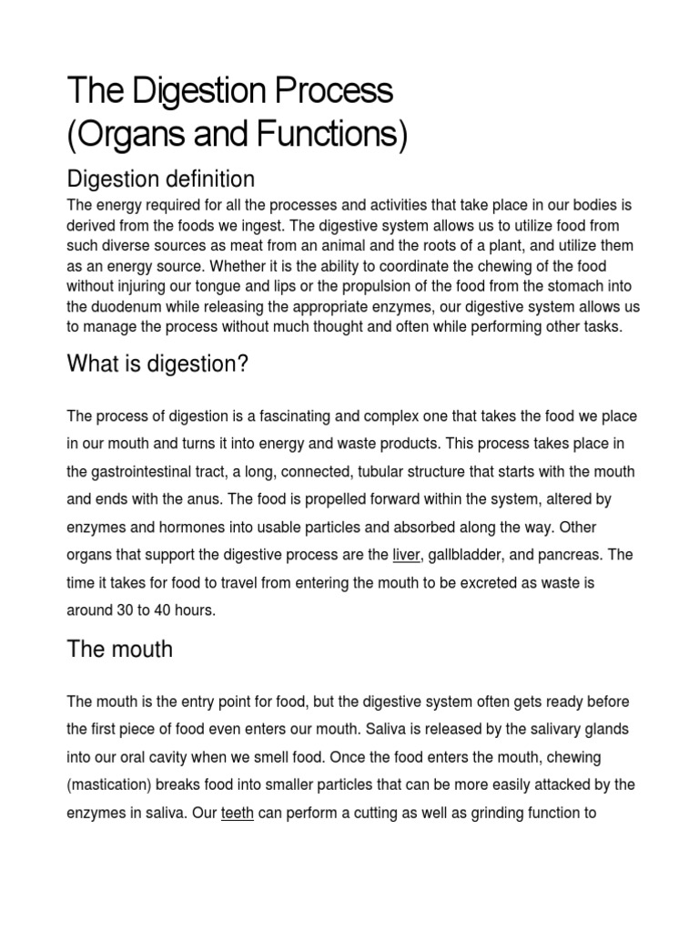 A Comprehensive Guide to the Digestive System: How Food is Broken Down ...