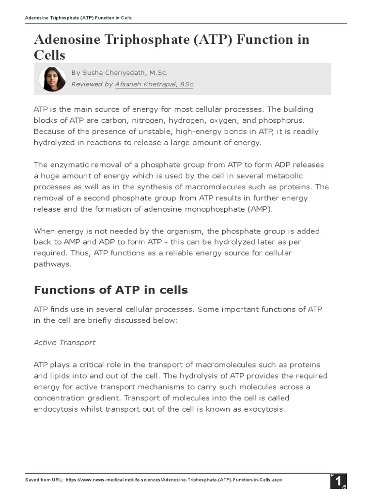 1 Adenosine Triphosphate Atp Function In Cells Unduh Gratis Pdf