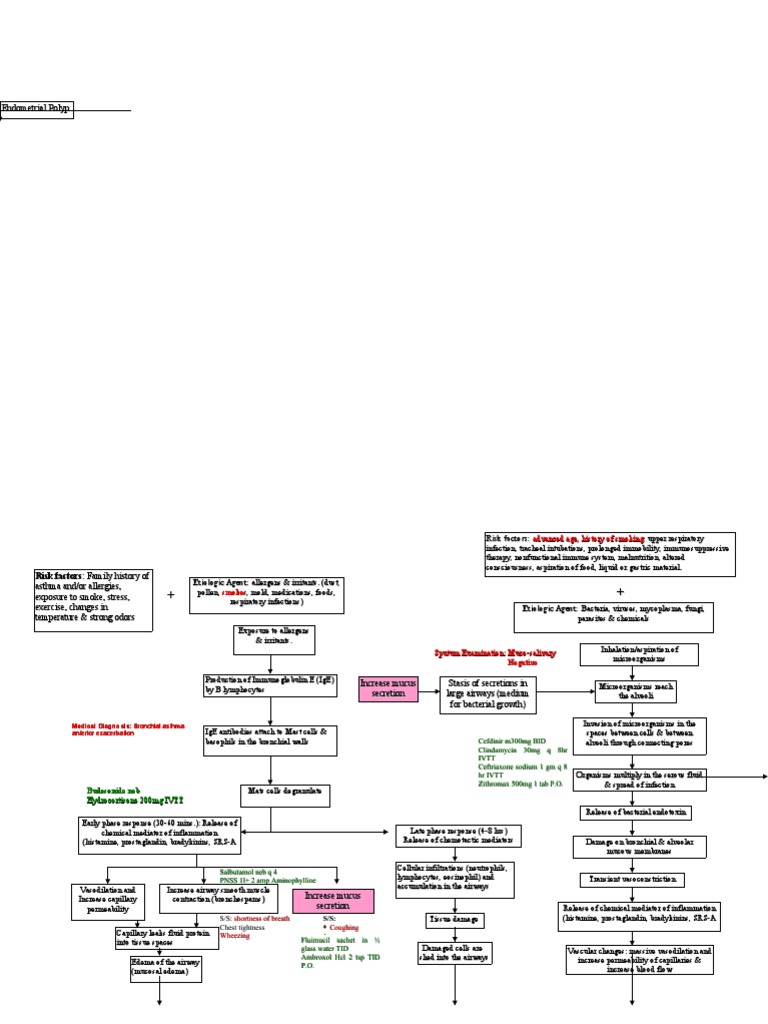 Asthma Pathophysiology Overview | PDF | Respiratory Tract | Lung