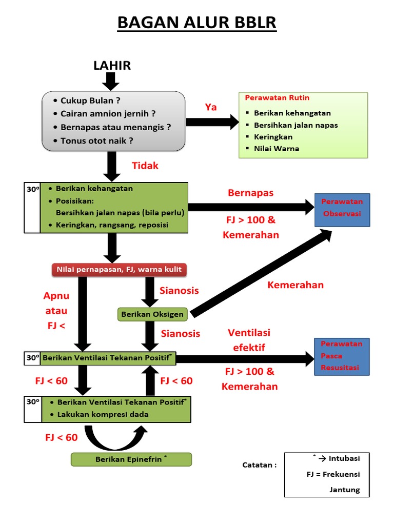 Bagan Alur BBLR | PDF