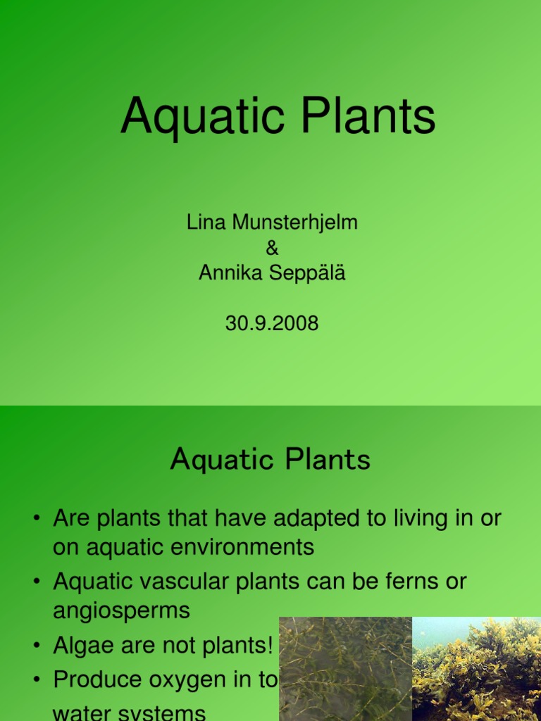 Aquatic Plants | PDF | Plants | Leaf