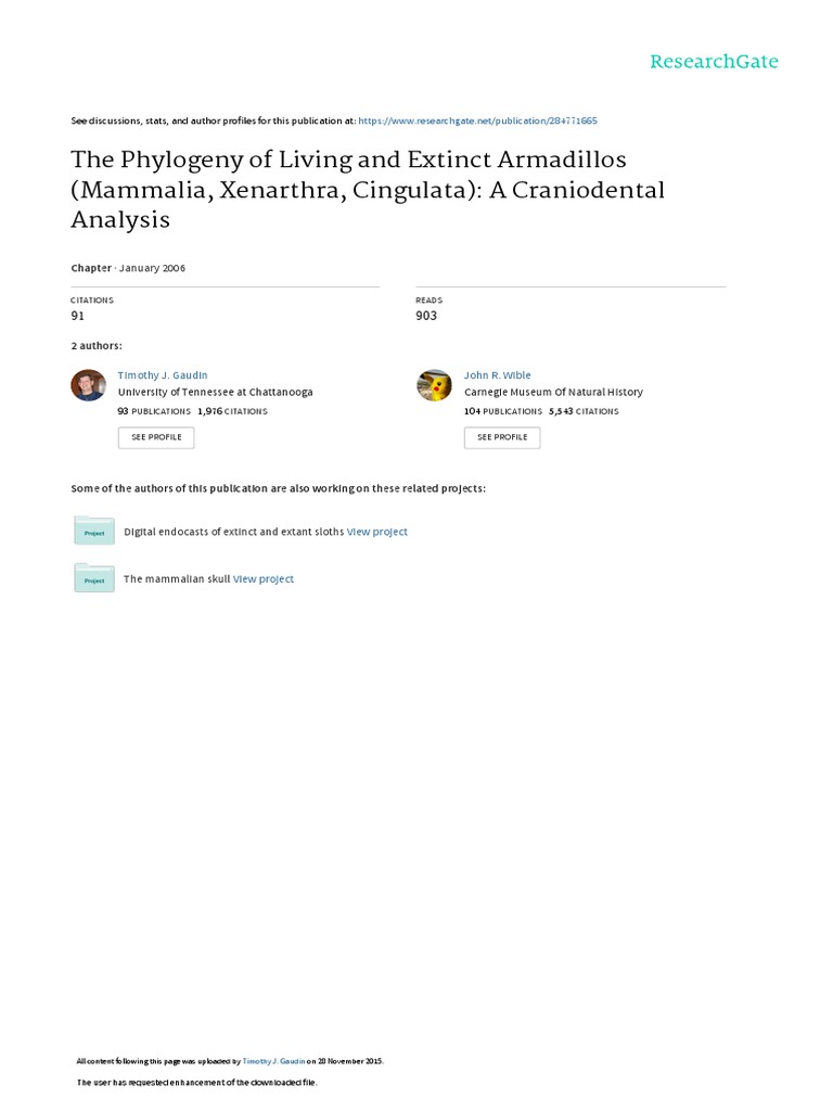 Phylogeny of Armadillos and Cingulata | PDF | Skull | Anatomical Terms ...