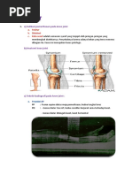 Anatomi Dan Faktor Eksposi Pada Pemeriksaan Radiologi Os Pedis | PDF ...