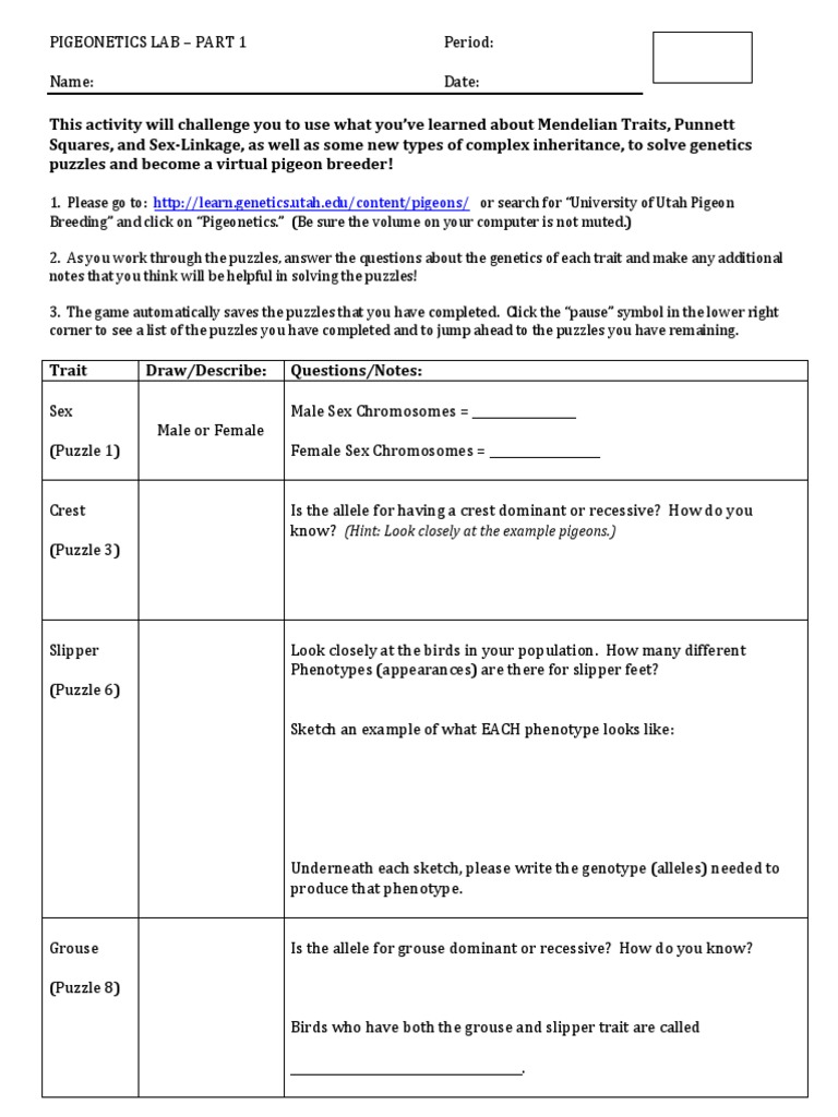 Pigeonetics Lab: Genetics Exploration | PDF | Phenotypic Trait ...