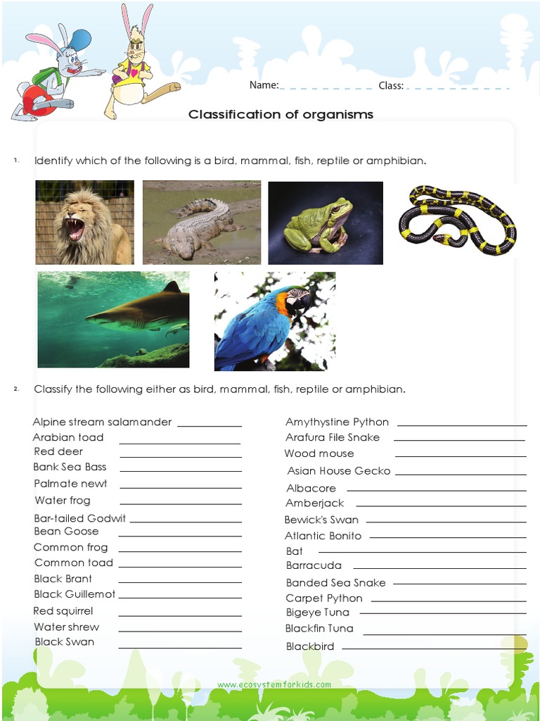 Mammals Bird Fish Reptile Amphibian | PDF | Amphibian | Reptile