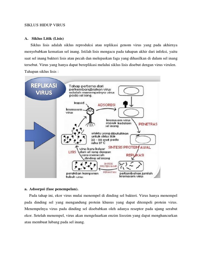 Siklus Hidup Virus dan Jamur | PDF | Sains & Matematika