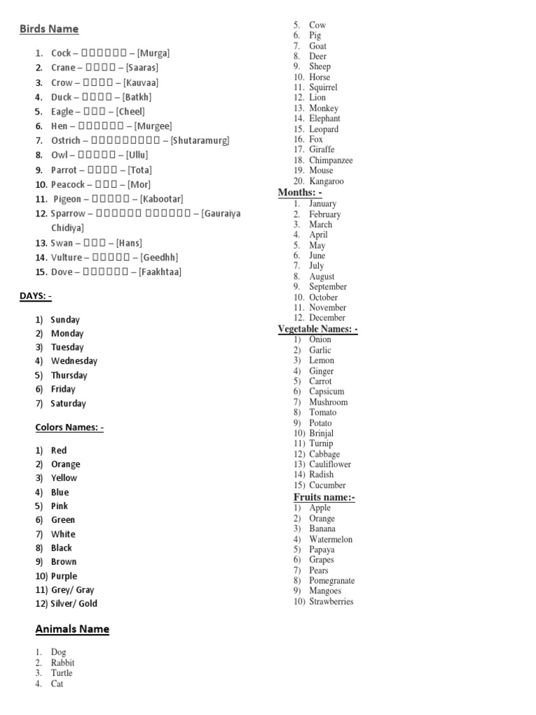 Basic Vocabulary | PDF