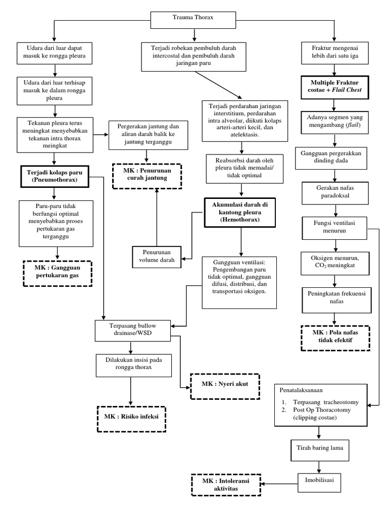 Woc Thorax Revisi | PDF
