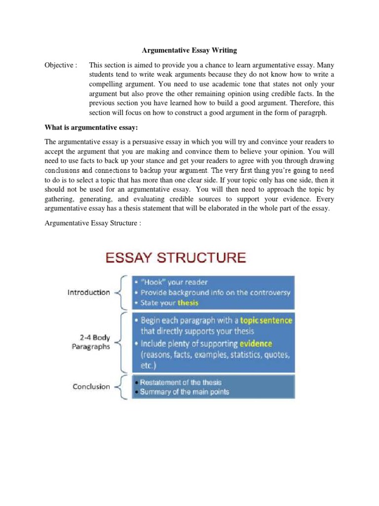 Argumentative Essay Writing | PDF | Freedom Of Speech | Essays