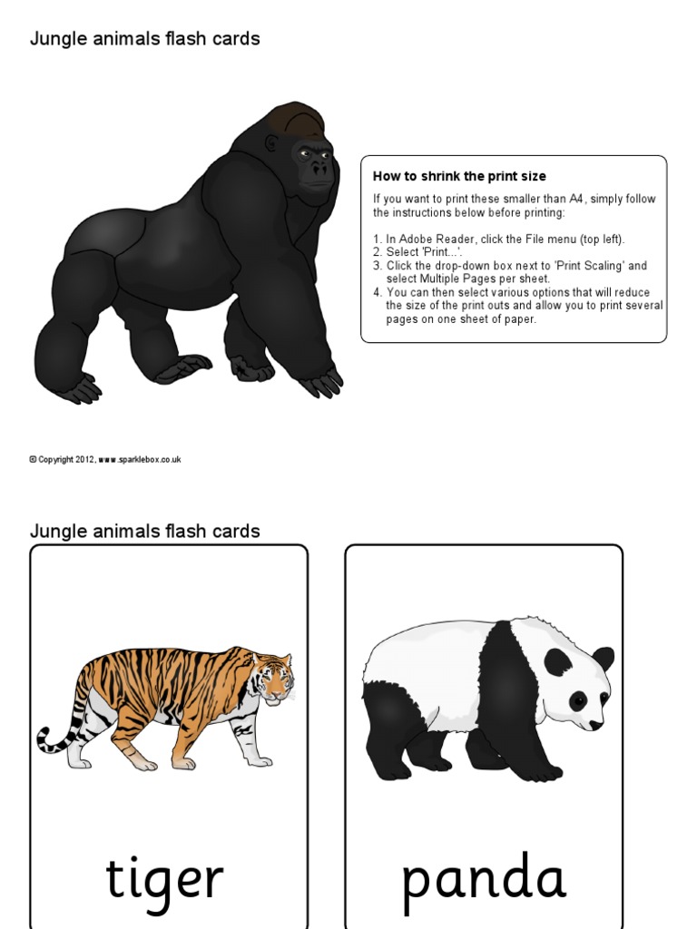 Jungle Animals | PDF