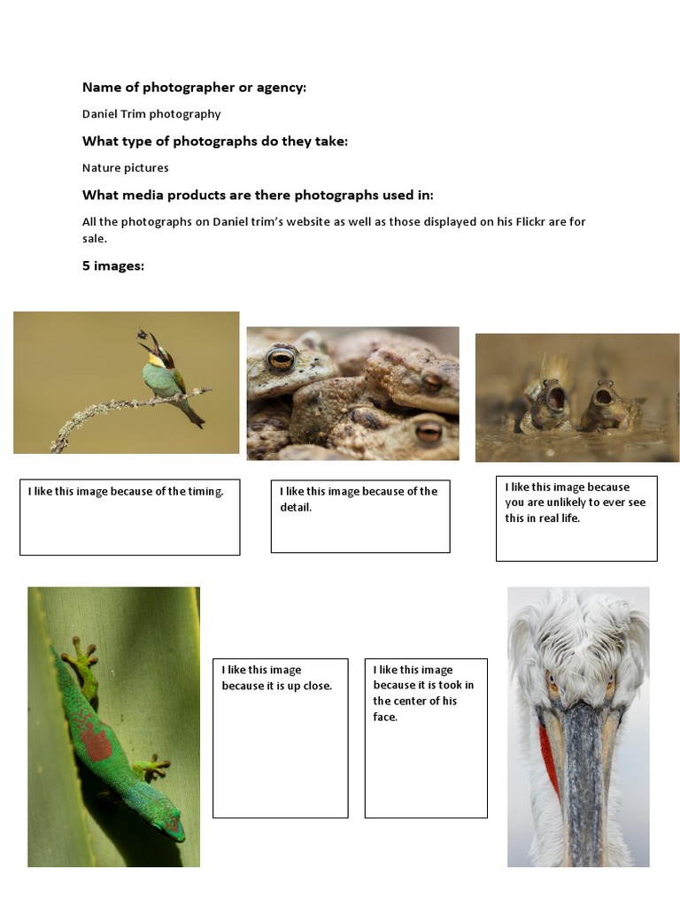 Name of Photographer or Agency:: Daniel Trim Photography | PDF