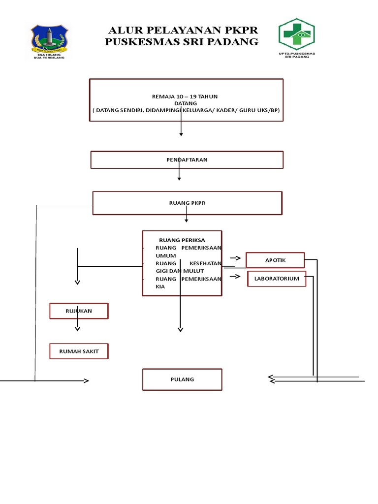 Alur Pelayanan PKPR | PDF