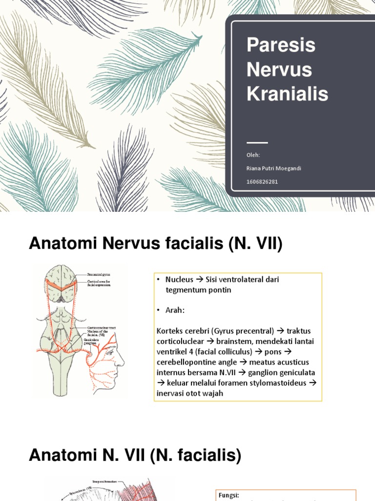 Paresis Nervus Kranialis dan Deviasi Lidah | PDF | Pengembangan Diri ...