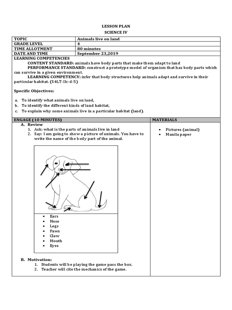 Grade 4 Lesson Plan: Land Animals | PDF | Habitat | Teachers