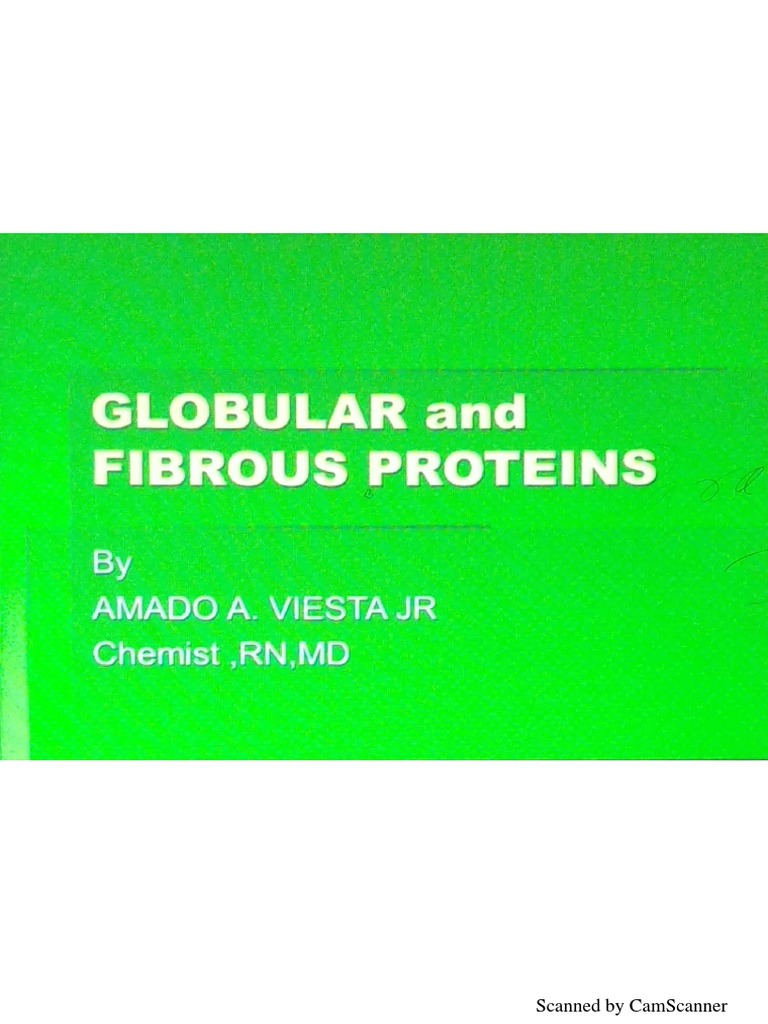 Globular and Fibrous Proteins PDF | PDF | Medicinal Chemistry ...