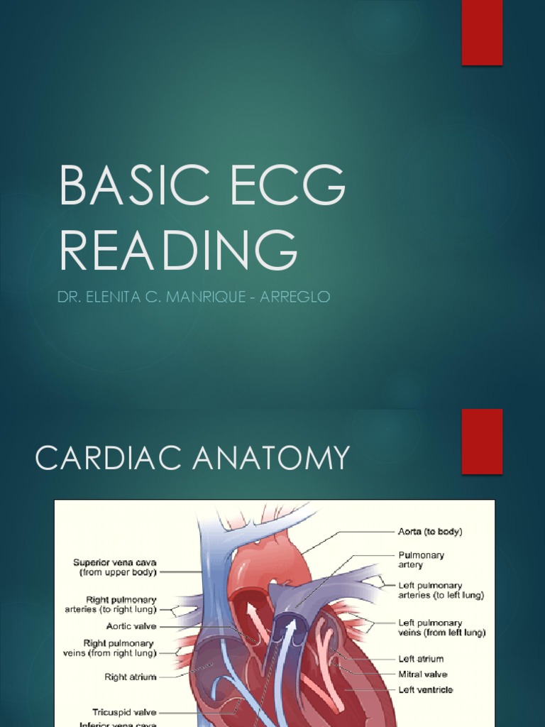 Basic ECG Reading Guide | PDF | Electrocardiography | Heart Rate