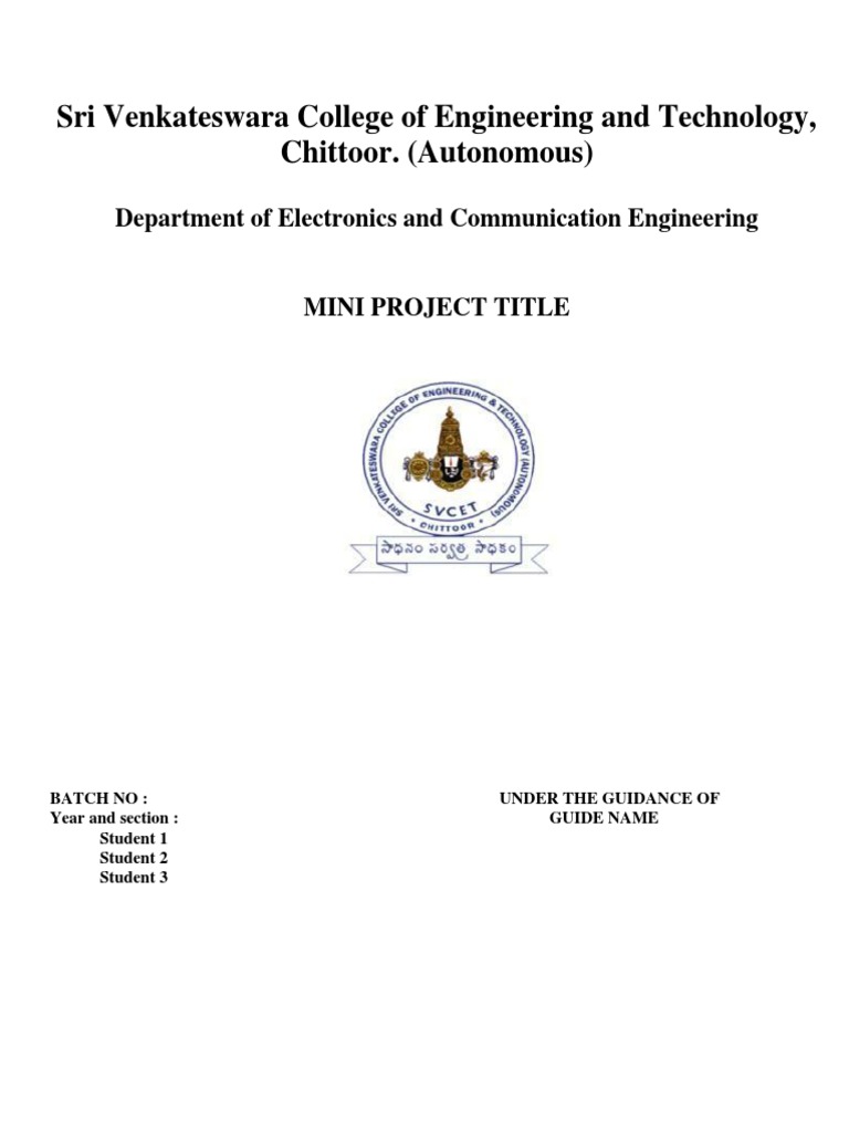Mini Project Template | PDF