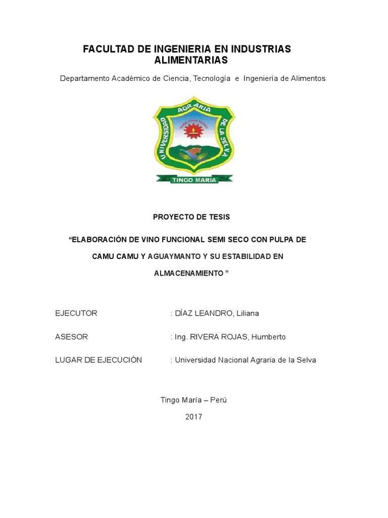 PROYECTO VINO CAMU CAMU - AGUAYMANTO Final | PDF | Vino | Química