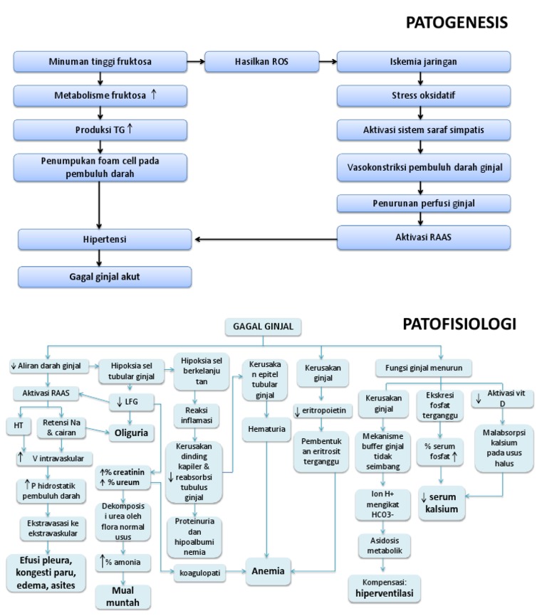 Patogenesis Dan Patofisiologi Gagal Ginjal | PDF