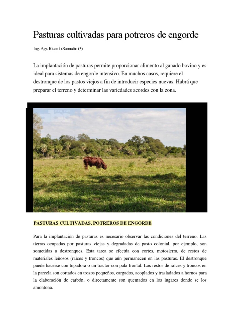 Pasturas para Potreros de Engorde | PDF | Siembra | Suelo