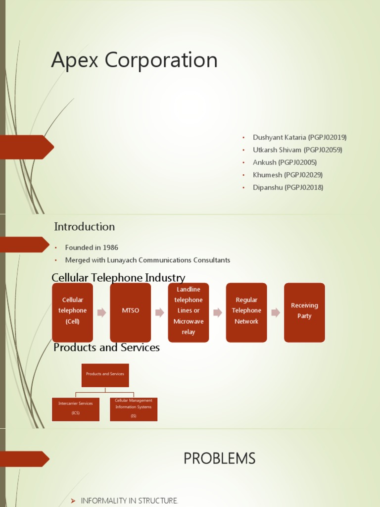 Apex | PDF | Organizational Structure | Business