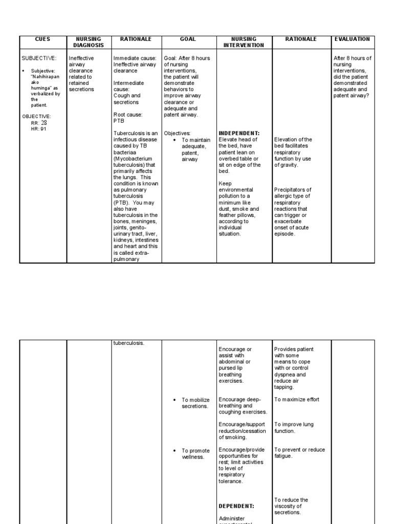 NCP NRMF | PDF | Tuberculosis | Respiratory Tract