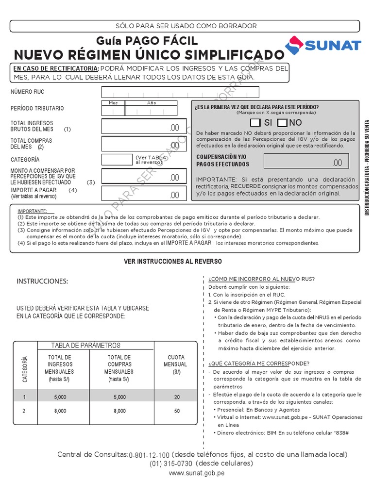 Guia Pago RUS Formulario Rellenable Ok | PDF | Economias | Business