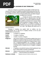 Si Langgam at Tipaklong (Pabula) | PDF