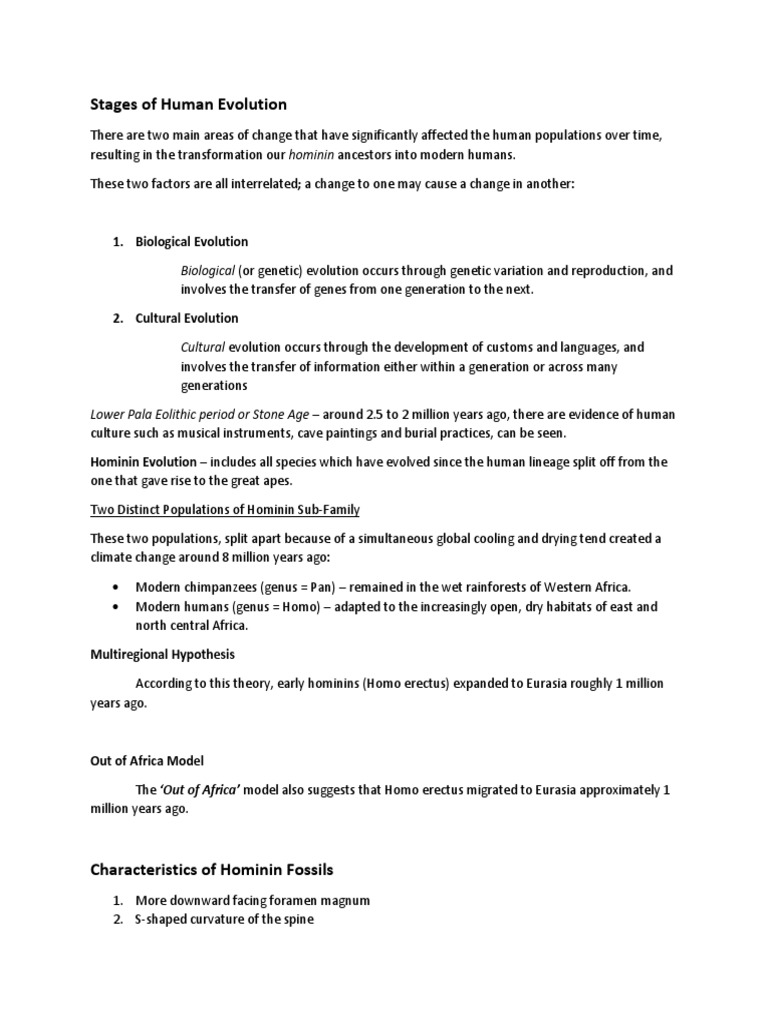 Stages of Human Evolution Explained | PDF | Human Evolution | Hominidae