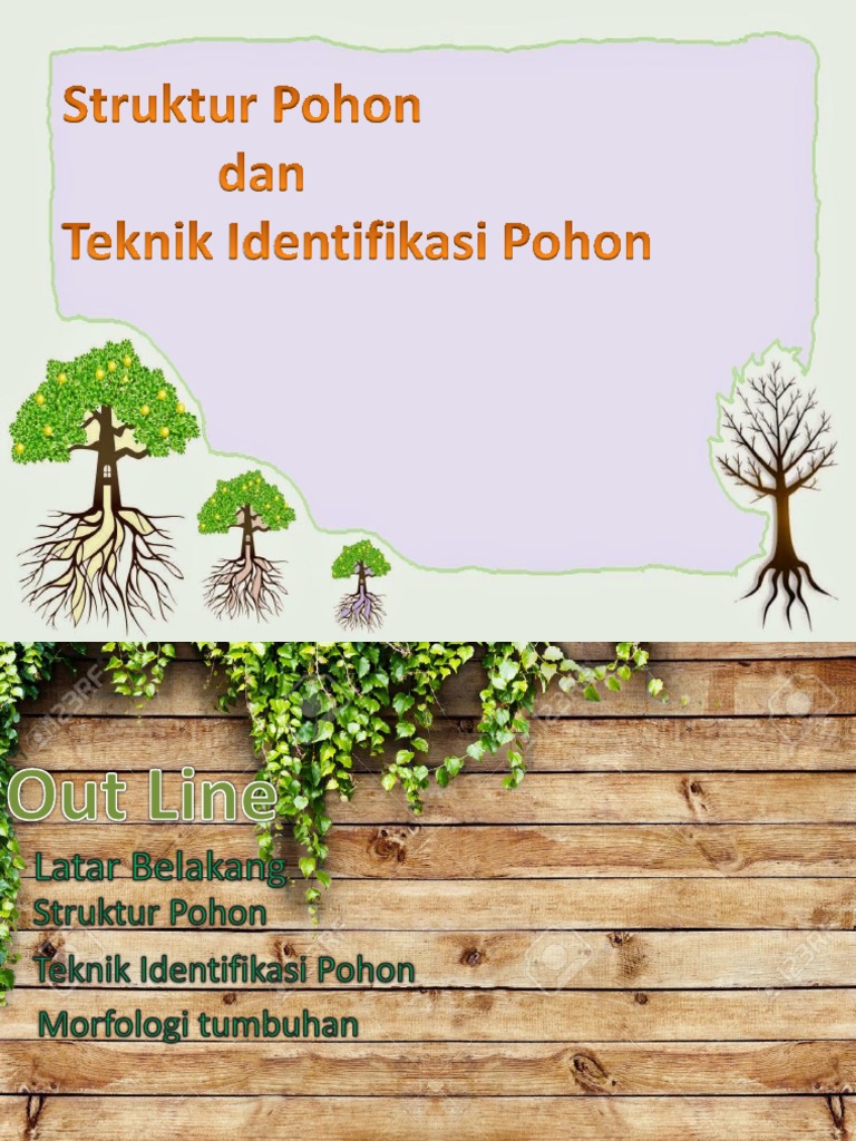 Struktur Pohon Dan Tenik Identifikasi Pohon | PDF