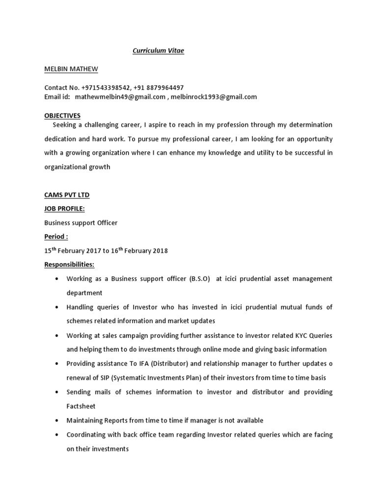 Curriculum Vate Melbin | Download Free PDF | Investor | Stock Market