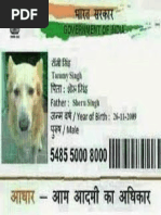 Aadhaar Card Sample 300x212 PDF | PDF