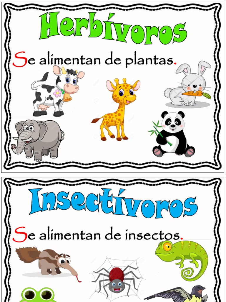 Animales Según Su Alimentacion | PDF