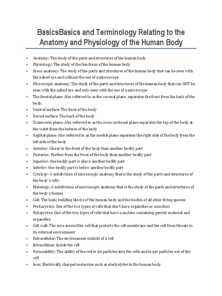 Basicsbasics and Terminology Relating To The Anatomy and Physiology of ...