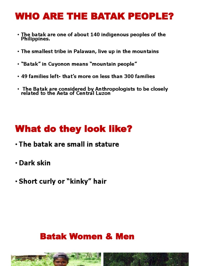 Who Are The Batak People?: Philippines | PDF