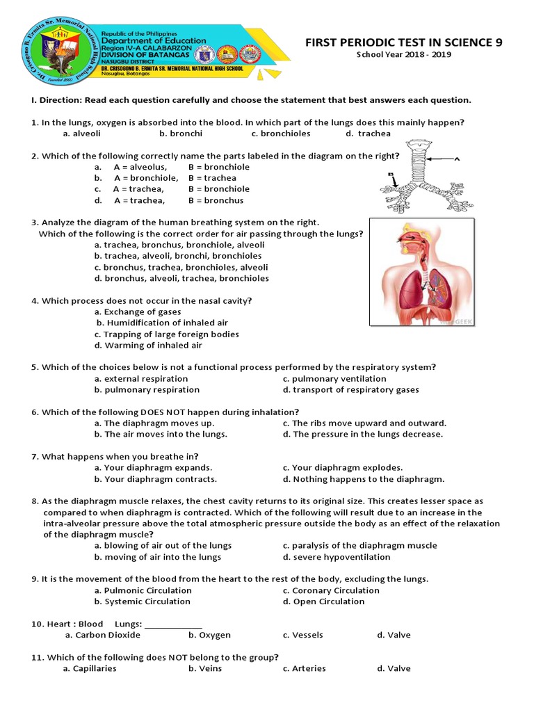 Grade 9 Science 1st Quarter Exam | PDF | Lung | Circulatory System