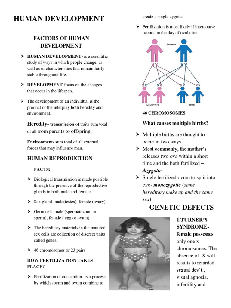 Factors of Human Development | PDF | Fertilisation | Twin