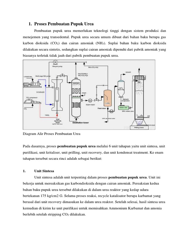 Reaksi Kimia dalam Pembuatan Urea | PDF