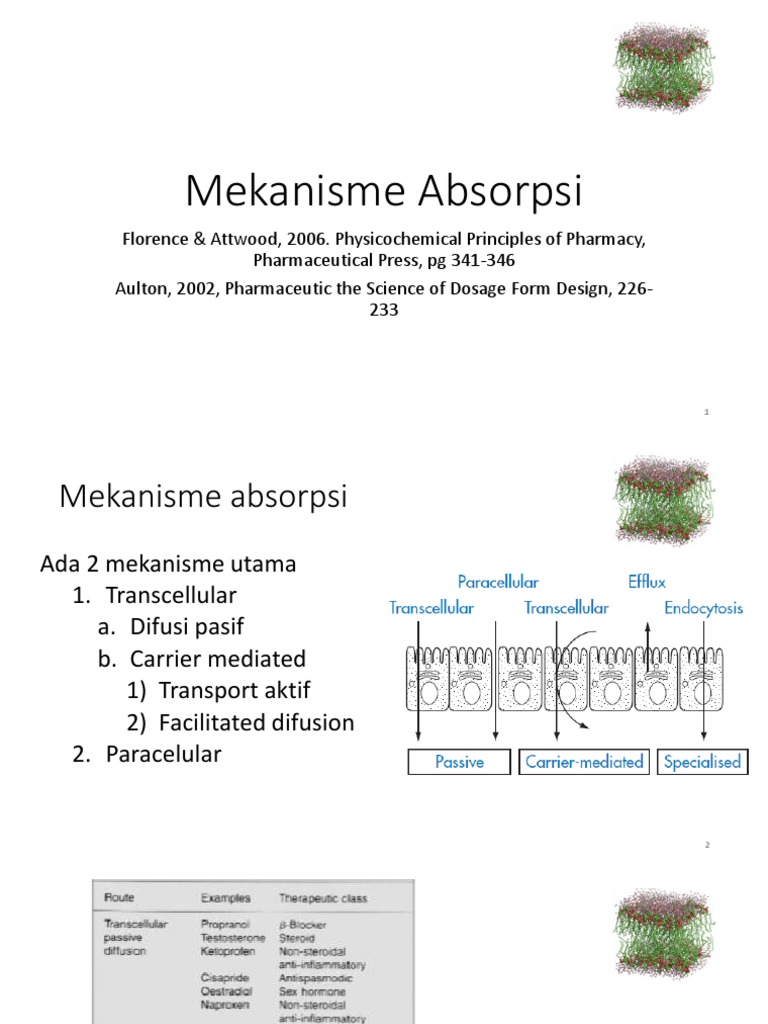 Mekanisme Absorpsi | PDF