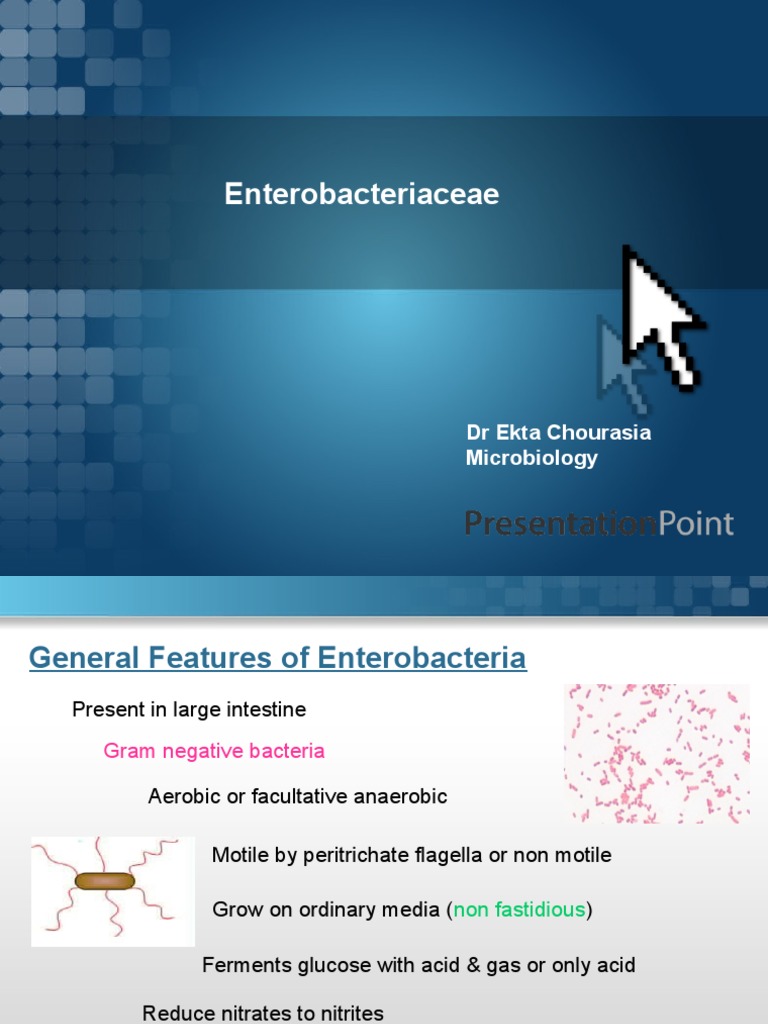 E.coli, Kleb & Proteus | Escherichia Coli | Clinical Pathology