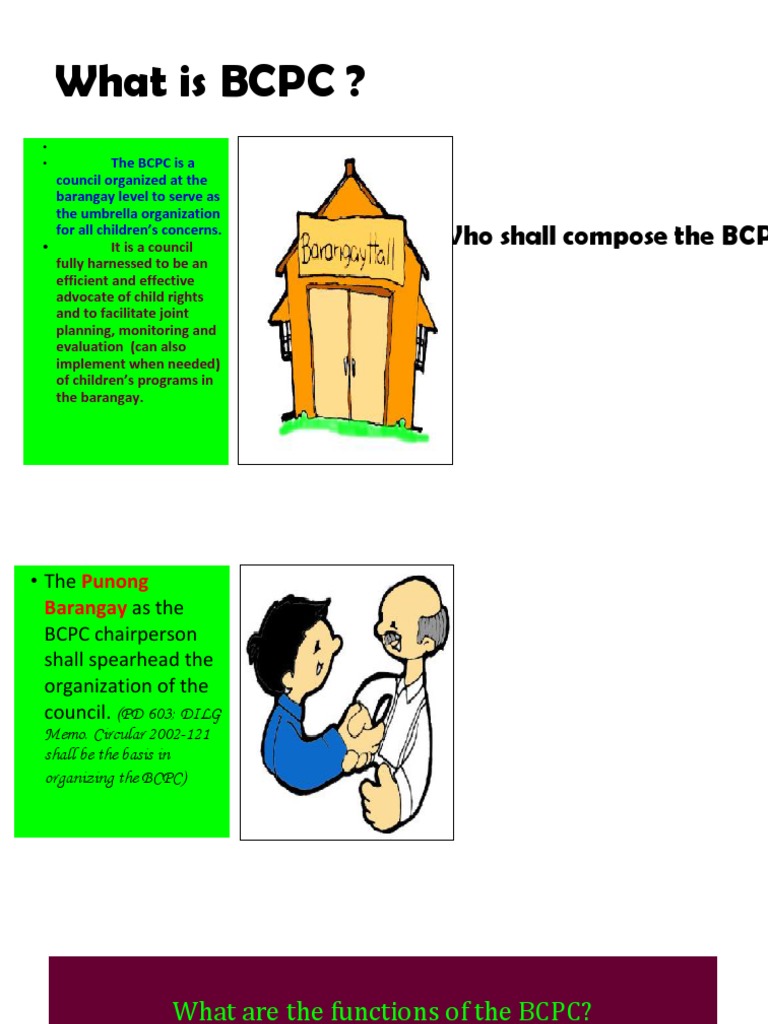 What Is BCPC | PDF | Children's Rights | Childhood