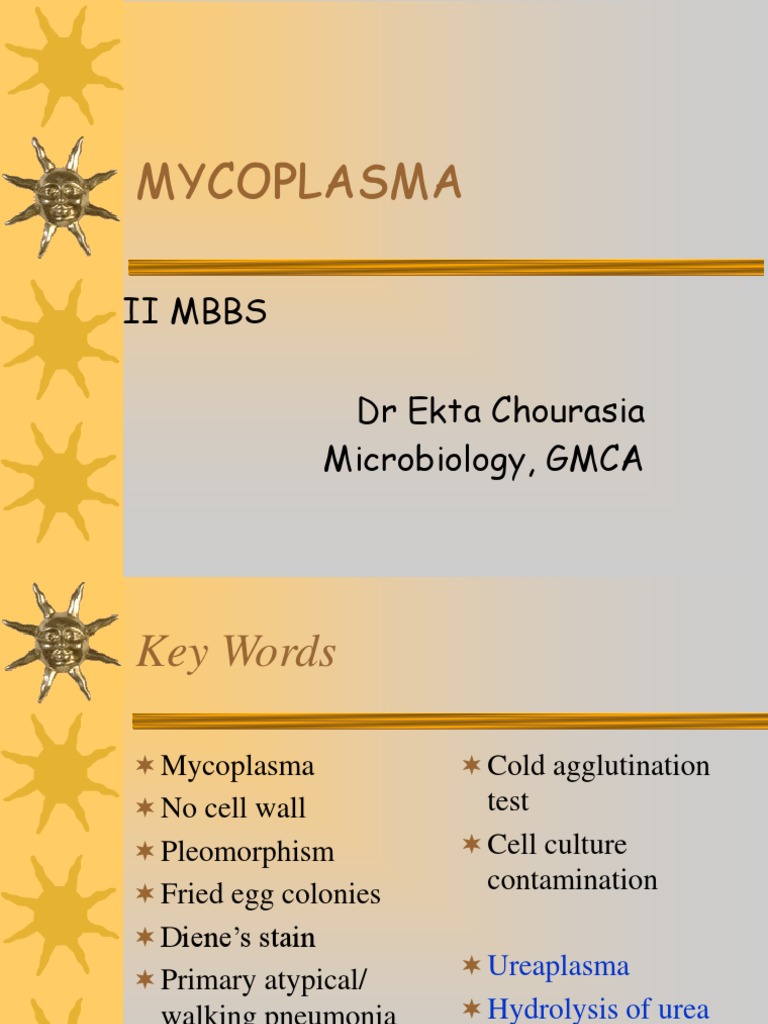 Mycoplasmas | PDF | Mycoplasma | Microbiology
